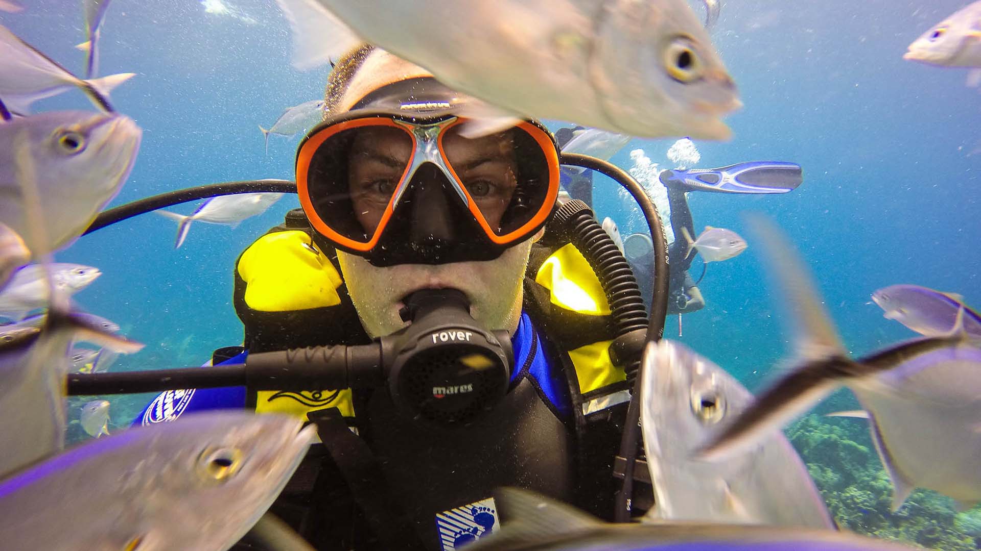 Scuba diver looking at camera | Passion Paradise